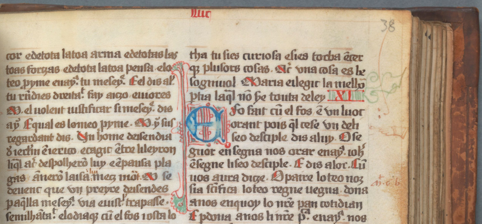 Journey into a Waldensian Bible | D. J. Speckhals